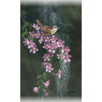 Bradley Jackson | Wildlife Artist