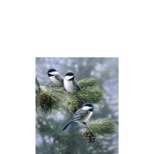 Bradley Jackson | Wildlife Artist